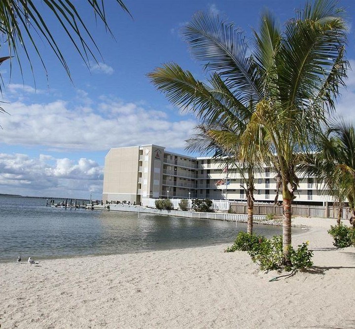 Book Princess Bayside Beach Hotel Now and Enjoy Discounts! - HopeGoo