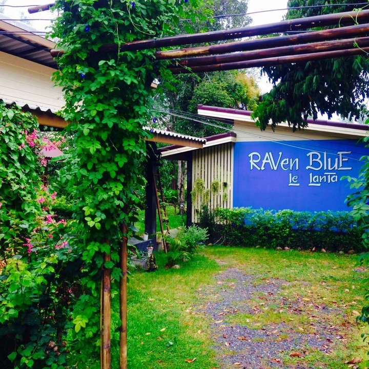 Book Raven Blue Now and Enjoy Discounts! - HopeGoo